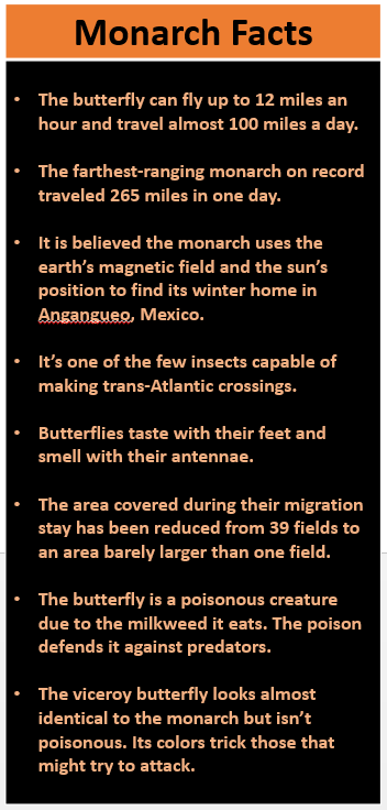 Monarch facts – City of College Station