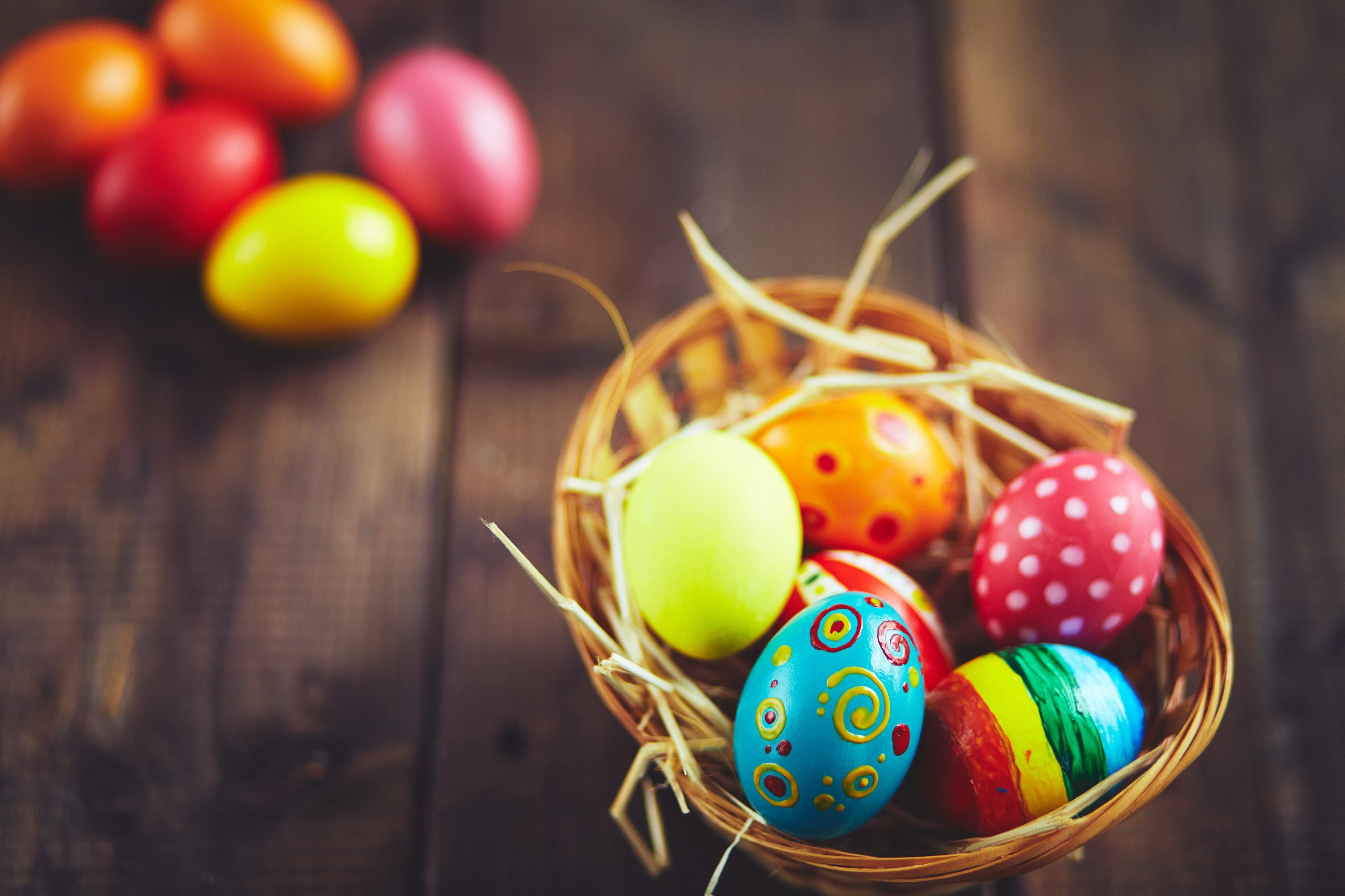 Neat eggs – City of College Station